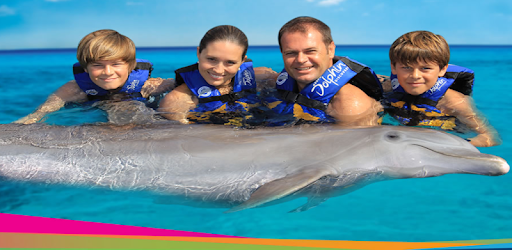 Download Dolphin Memories for PC / MAC / Windows